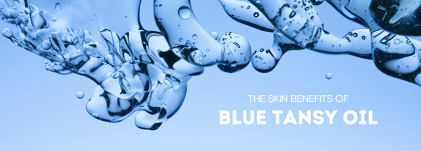 The Skin Benefits Of Blue Tansy Oil | Scrubba Body